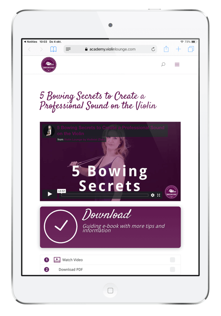 Violin Bow Parts: anatomy, function and bow division - Violin Lounge