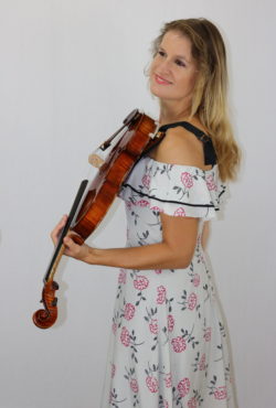 Different Types of Violins - Violin Lounge