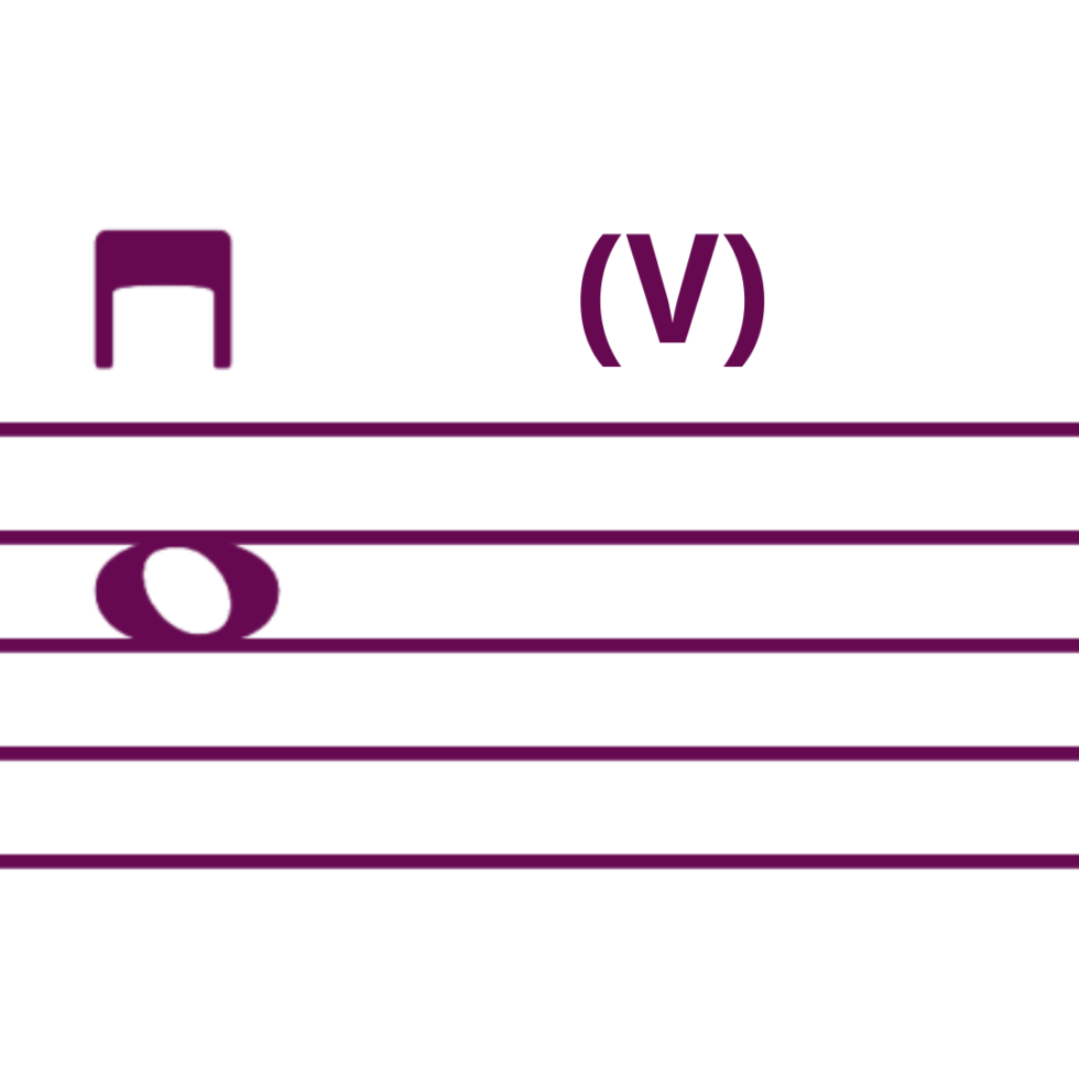 ALL 102 VIOLIN BOWING Techniques and Terms with Examples - Violin Lounge