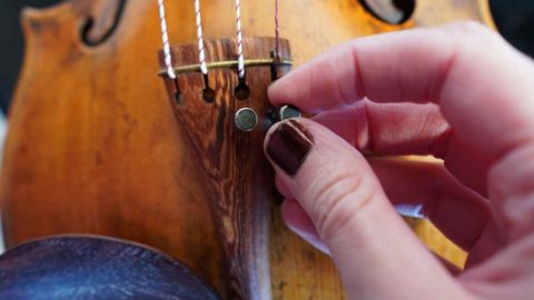 Complete Guide to Tune your Violin + FREE Online Tuner | Violin Lounge ...