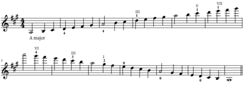 Violin Scales: Learn the Most Common Scales on the Violin - Violin Lounge