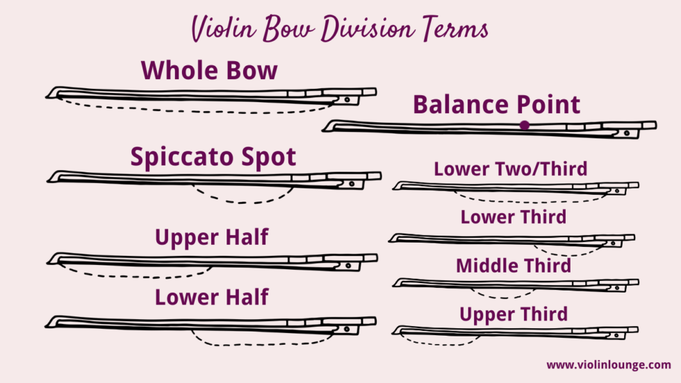 Violin Bow Parts: anatomy, function and bow division - Violin Lounge