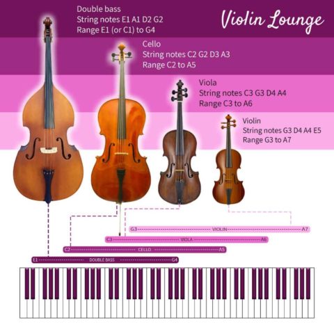 The Violin Family Explained with Video Examples - Violin Lounge