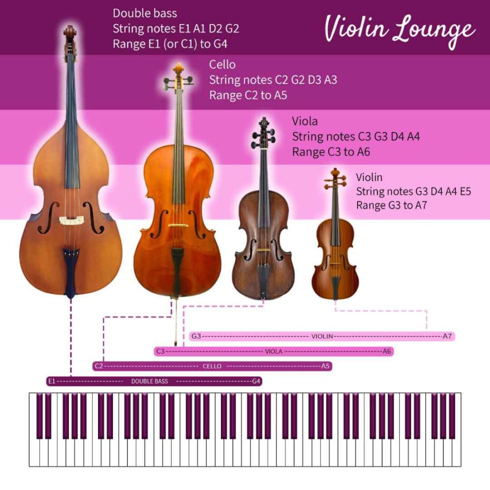 Violin Range vs Viola, Cello and Double Bass | Violin Lounge TV #538 ...
