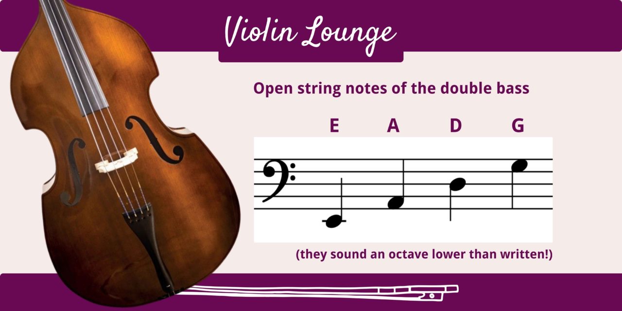 Violin Range vs Viola, Cello and Double Bass | Violin Lounge TV #538 - Violin Lounge
