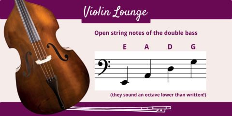 Violin Range vs Viola, Cello and Double Bass | Violin Lounge TV #538 ...