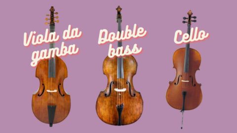 The Violin Family Explained with Video Examples - Violin Lounge