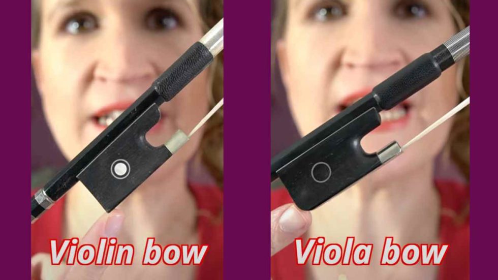 Violin vs Viola: 7 Differences, Pros and Cons - Violin Lounge