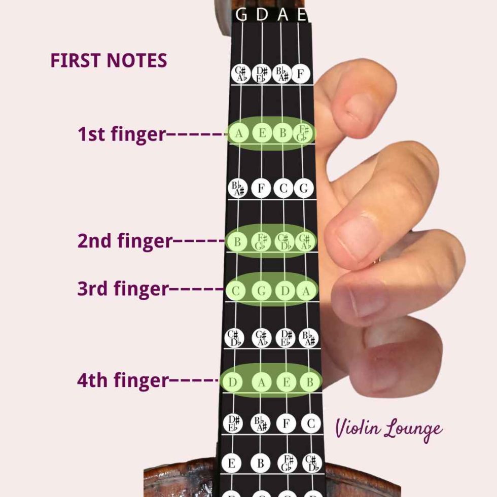 Violin First Position - explained with finger charts, notes and videos ...