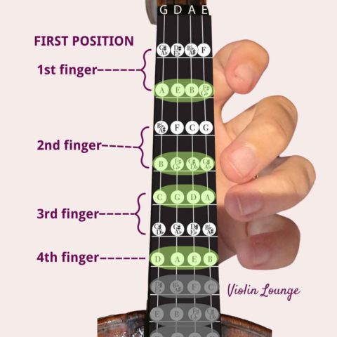 Violin First Position - explained with finger charts, notes and videos ...