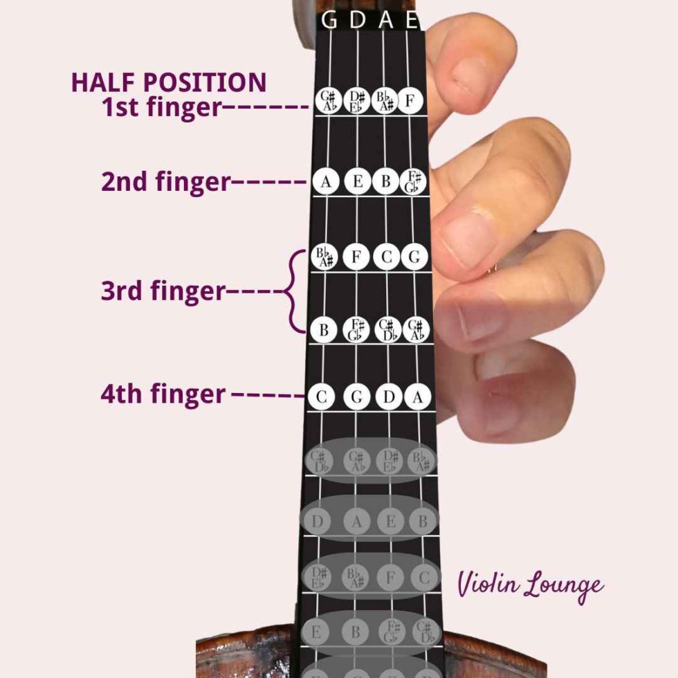 Violin Half Position - all notes, finger chart and exercises - Violin ...