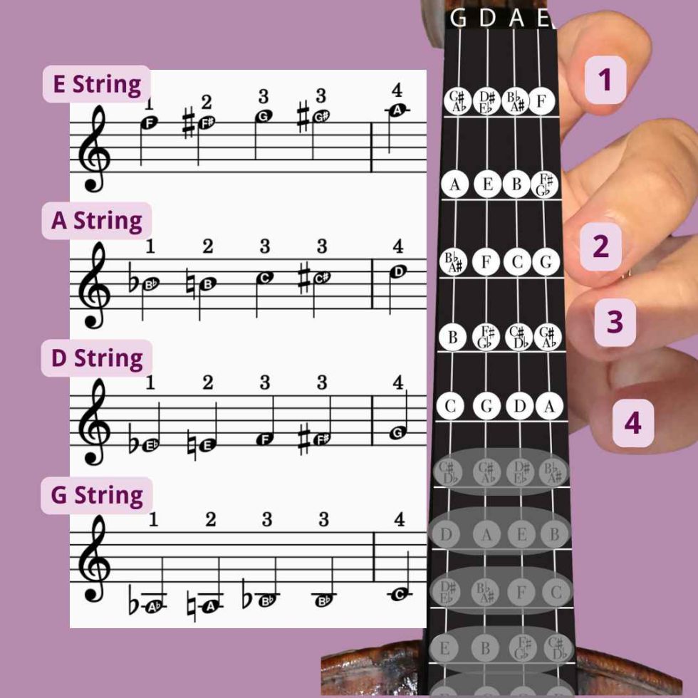 Violin Half Position - all notes, finger chart and exercises - Violin ...